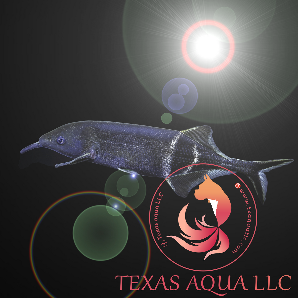 PETERS ELEPHANT – Texas Aqua LLC